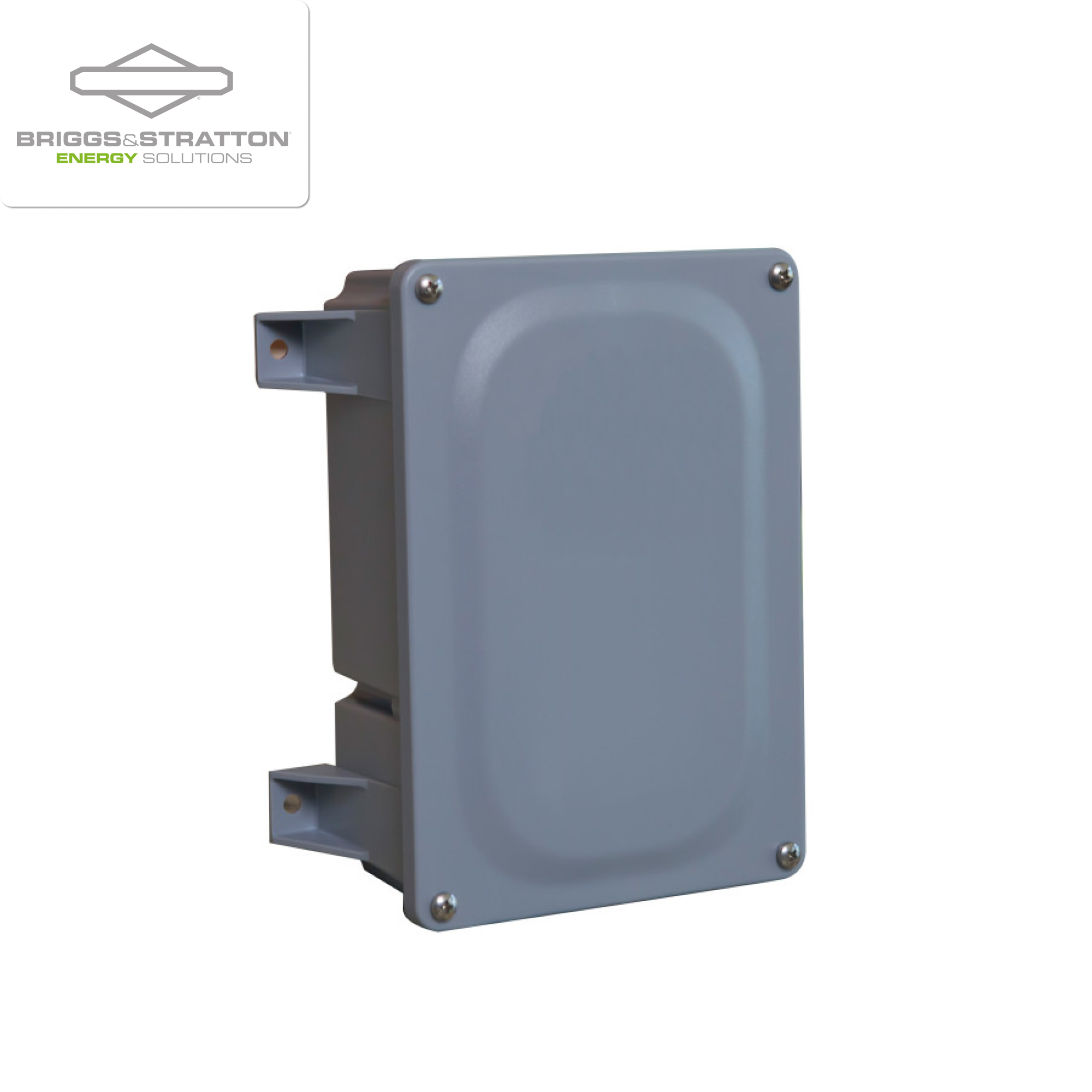 Briggs & Stratton 50 A NEMA 4 Dual Low Voltage Module for Symphony II ...
