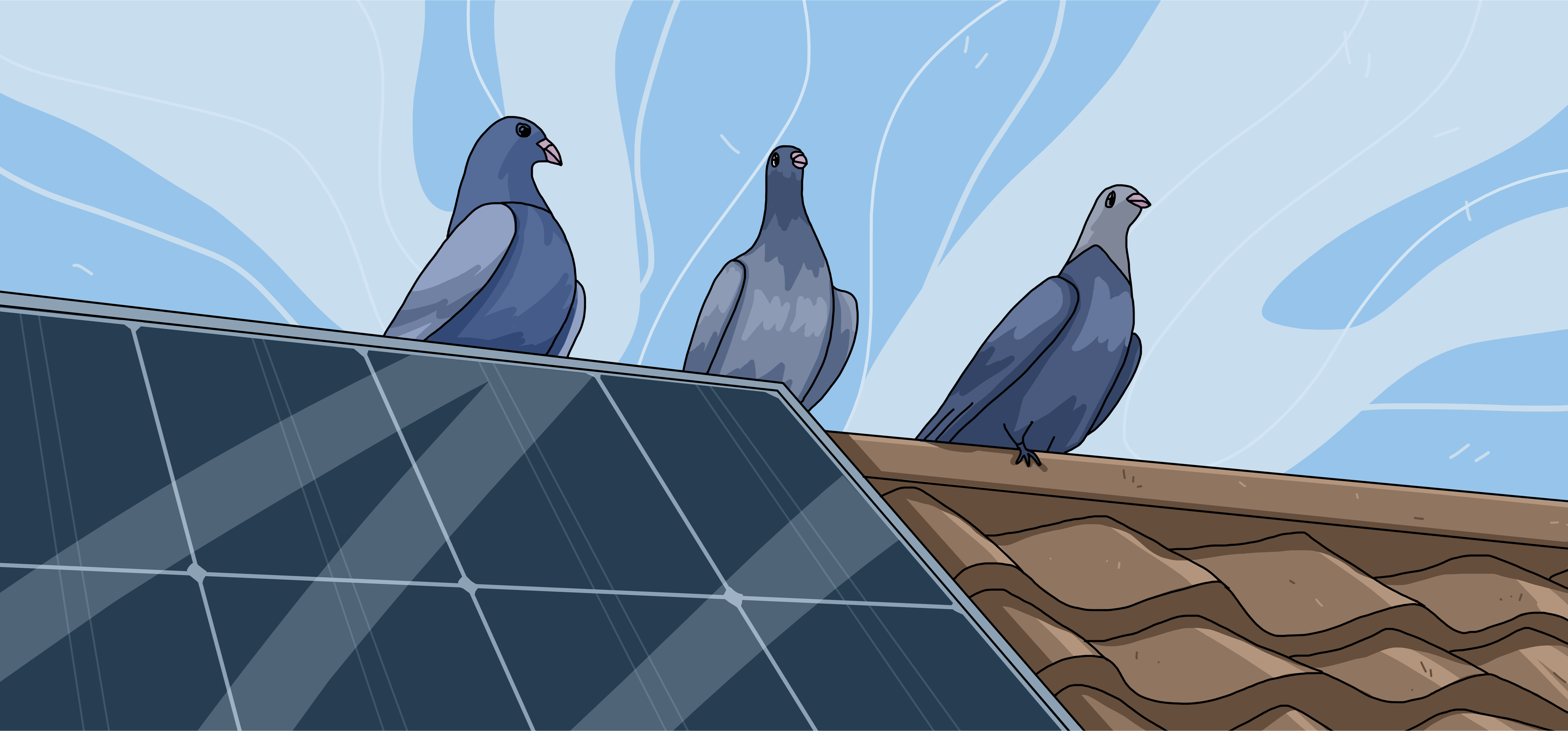 Keep Pigeons Away from Solar Panels - A1 SolarStore Magazine